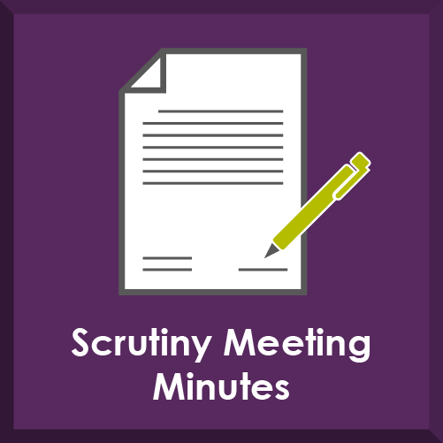 Scrutiny Panel
