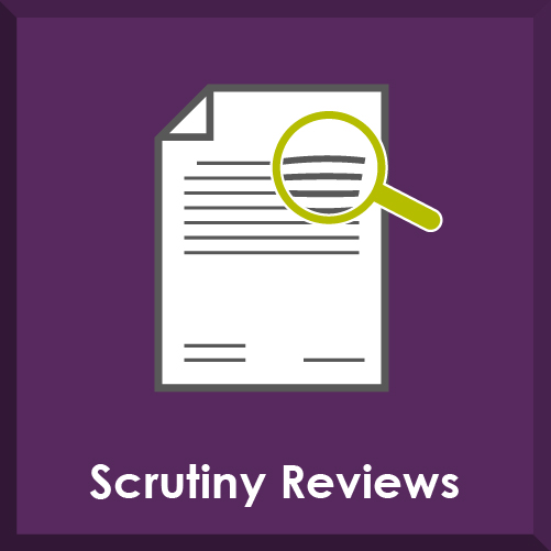 Scrutiny Panel